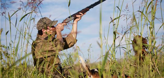 الصيد وأحكامه